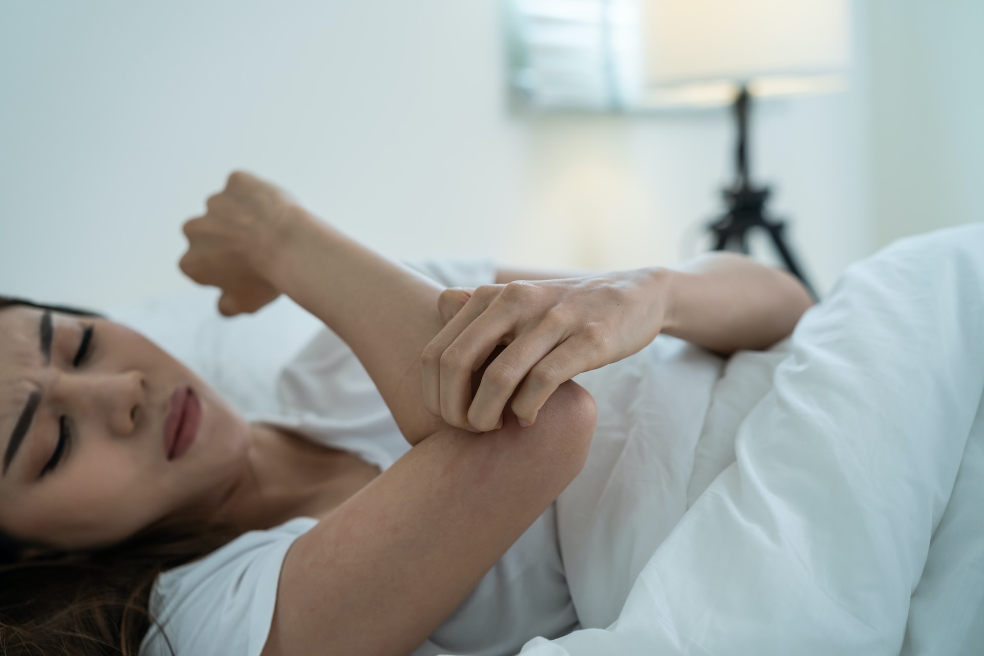 Bed Bug Infestations Identification Treatment And Prevention In